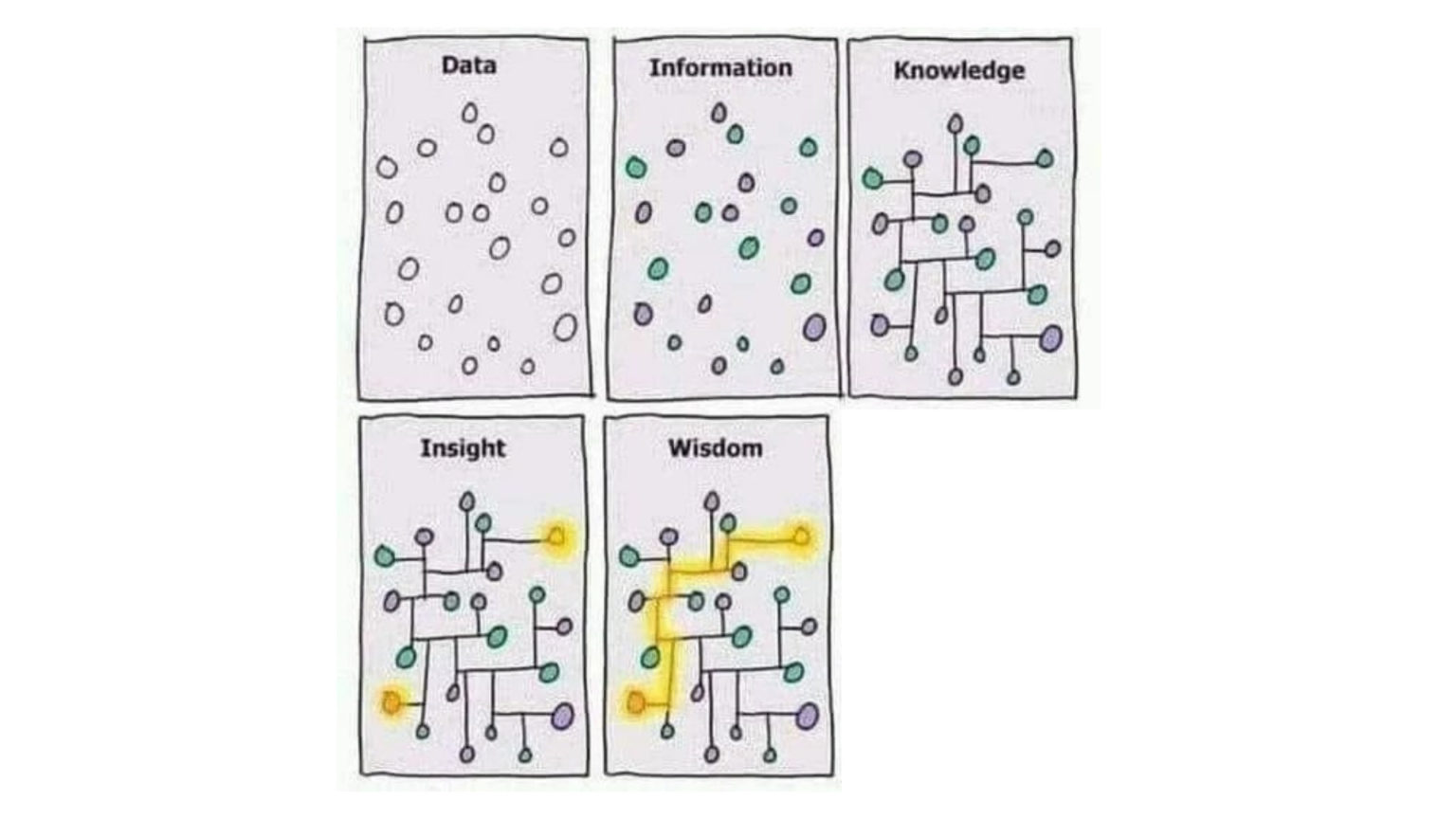 Data Insights Best Practices For Extracting Insights From Data Databox