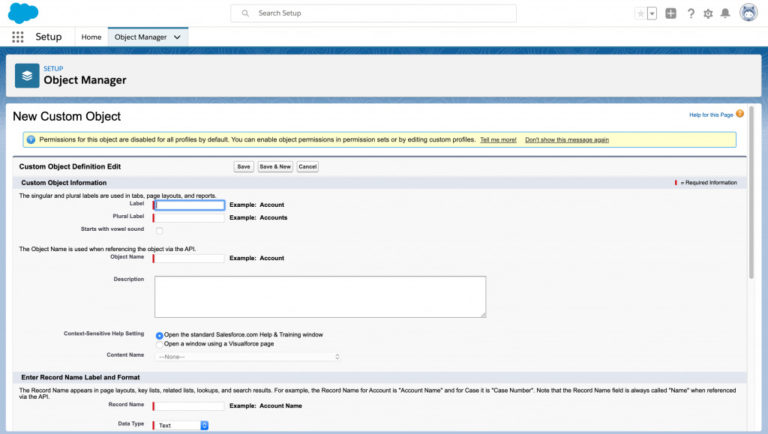 How to Create and Use Reporting Snapshots in Salesforce: A Step By Step ...